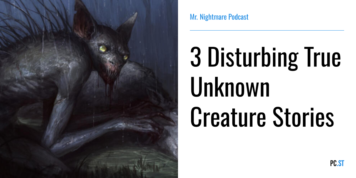 3 Disturbing True Unknown Creature Stories – Mr. Nightmare Podcast – PC.ST