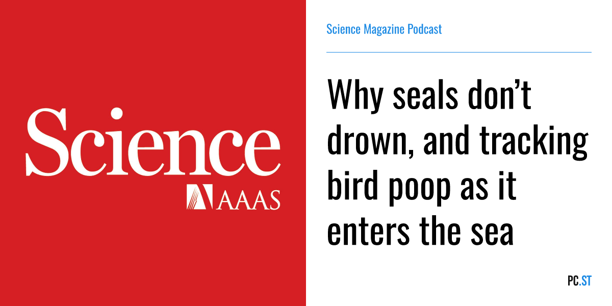 Why seals don’t drown, and tracking bird poop as it enters the sea ...
