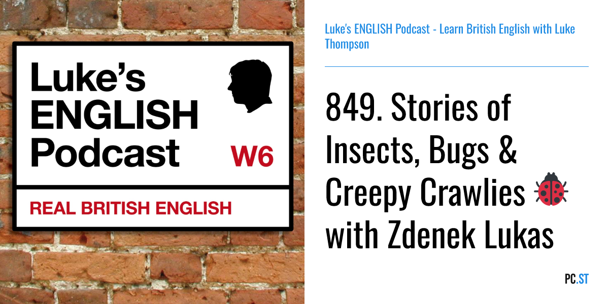 849. Stories of Insects, Bugs & Creepy Crawlies 🐞 with Zdenek Lukas ...