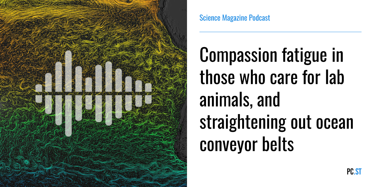 Compassion fatigue in those who care for lab animals, and straightening ...